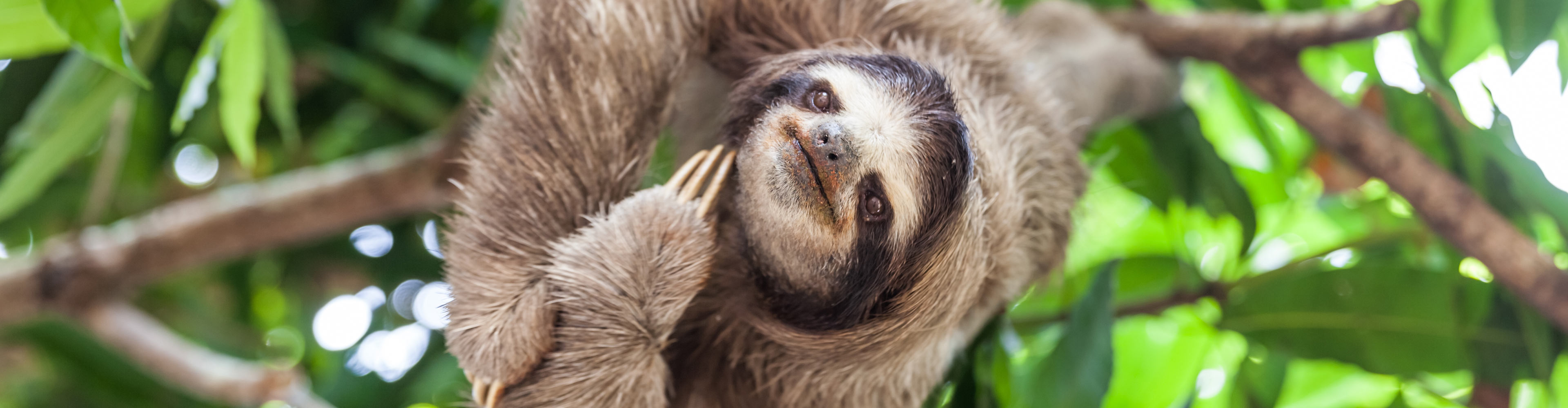 Intrepid Travel Tours 2025/2026 | Trailfinders Ireland